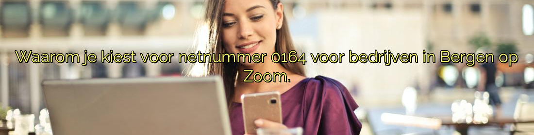 Waarom je kiest voor netnummer 0164 voor bedrijven in Bergen op Zoom.